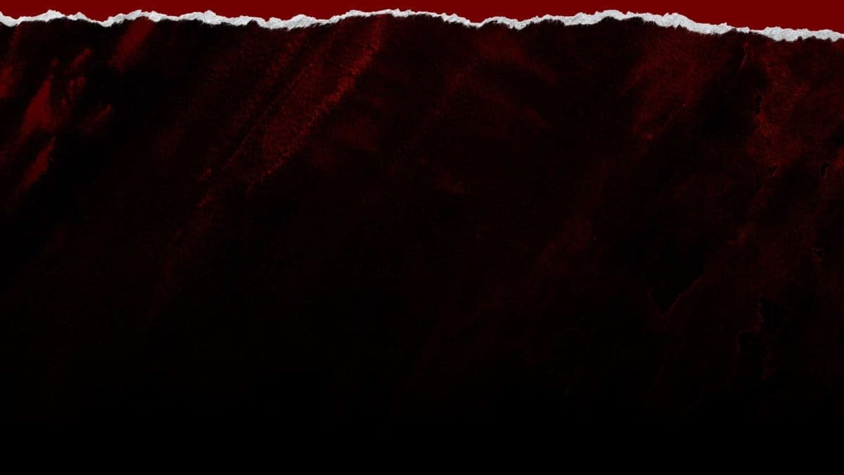 New York's Scariest Haunted House - Pure Terror Scream Park